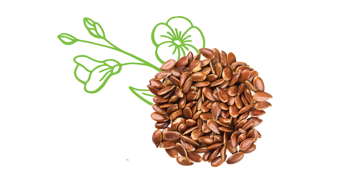 The Health Benefits of Flaxseed – Maxine's Heavenly
